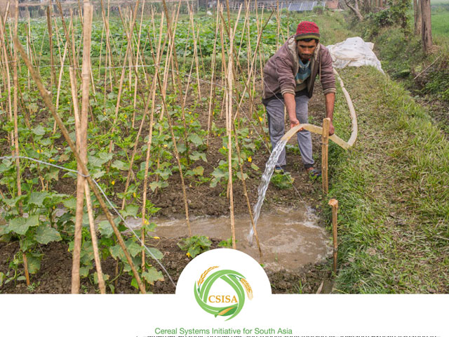 Understanding barriers and opportunities for scaling sustainable and ...